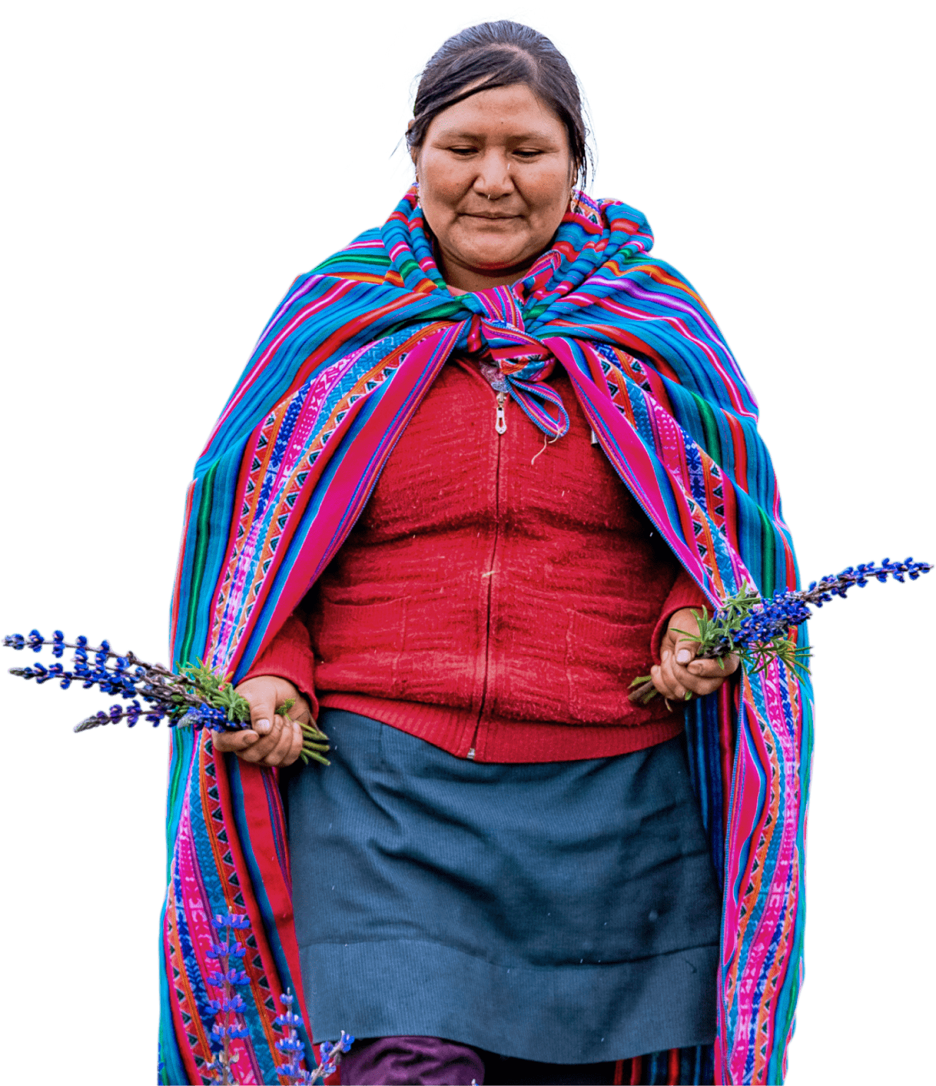 Nosotros - Tarwi Foods